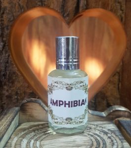 THM Amphibian | Non Alcoholic Perfumes in India| Buy best Perfumes for ...